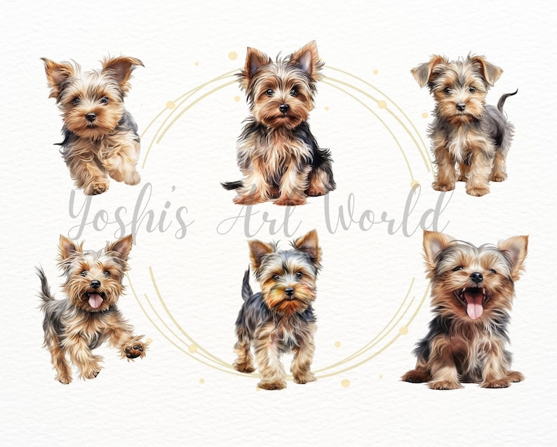 Yorkshire Terrier PNG Bundle, Digital Crafts Designs Transparent ...