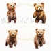 Watercolor Cute Baby Brown Bear PNG Bundle, Digital Crafts Designs ...