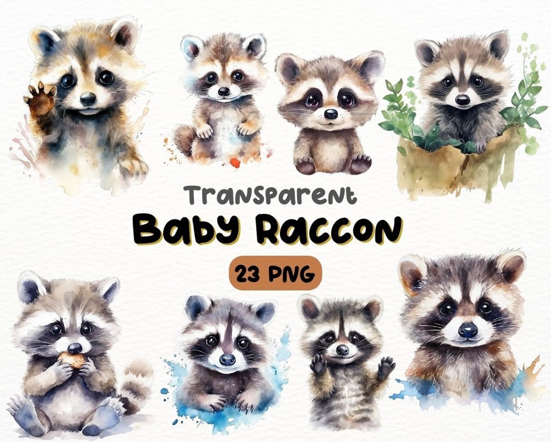 Watercolor Cute Baby Raccoon PNG Bundle, Digital Crafts Designs ...
