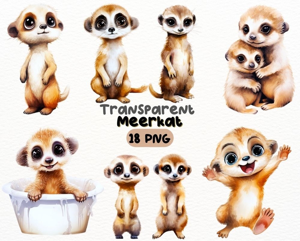 Watercolor Cute Meerkat PNG Bundle, Digital Crafts Designs Transparent ...