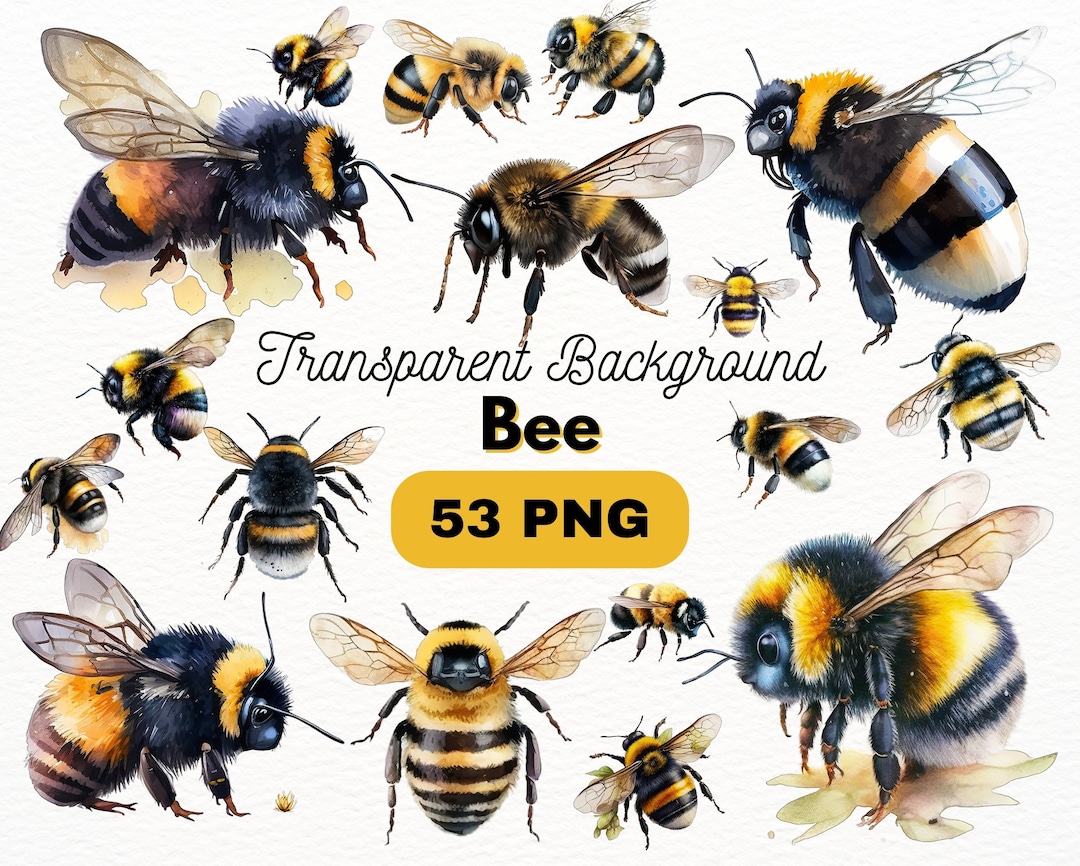 Watercolor Bumblebee Bundle, Digital Crafts Designs Transparent, Bee ...