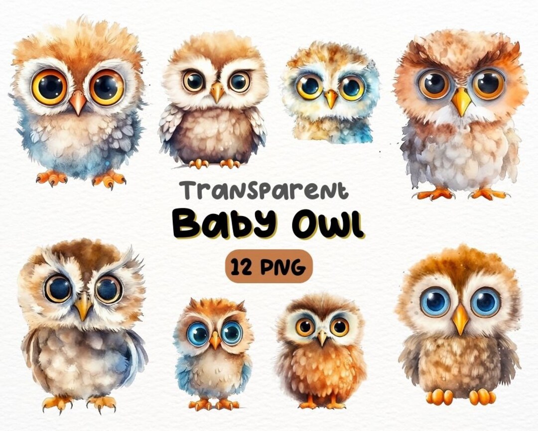 Watercolor Baby Owl PNG Bundle, Digital Crafts Designs Transparent ...