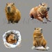 Watercolor Capybara PNG Bundle, Digital Crafts Designs Transparent ...