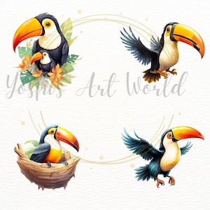 Watercolor Cute Toucan PNG Bundle, Digital Crafts Designs Transparent ...