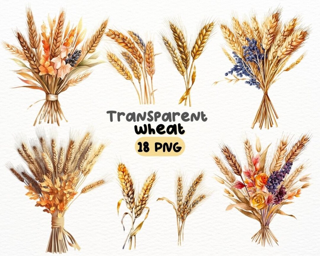 Watercolor Wheat PNG Bundle, Digital Crafts Designs Transparent, Rustic ...