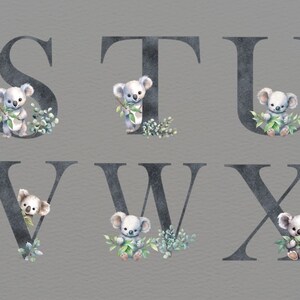 Cute Baby Koala Letters A-Z and Number, Watercolor, Alphabet Clipart ...