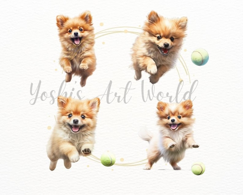 Watercolor Baby Pomeranian PNG Bundle Digital Crafts Designs - Etsy