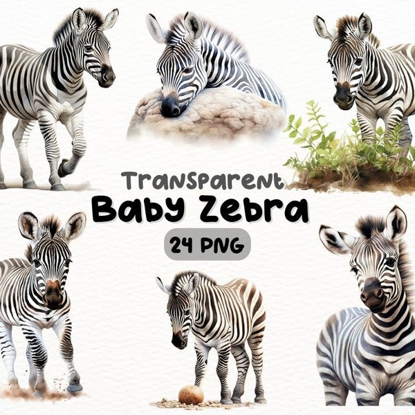 Zebra Clipart - Etsy