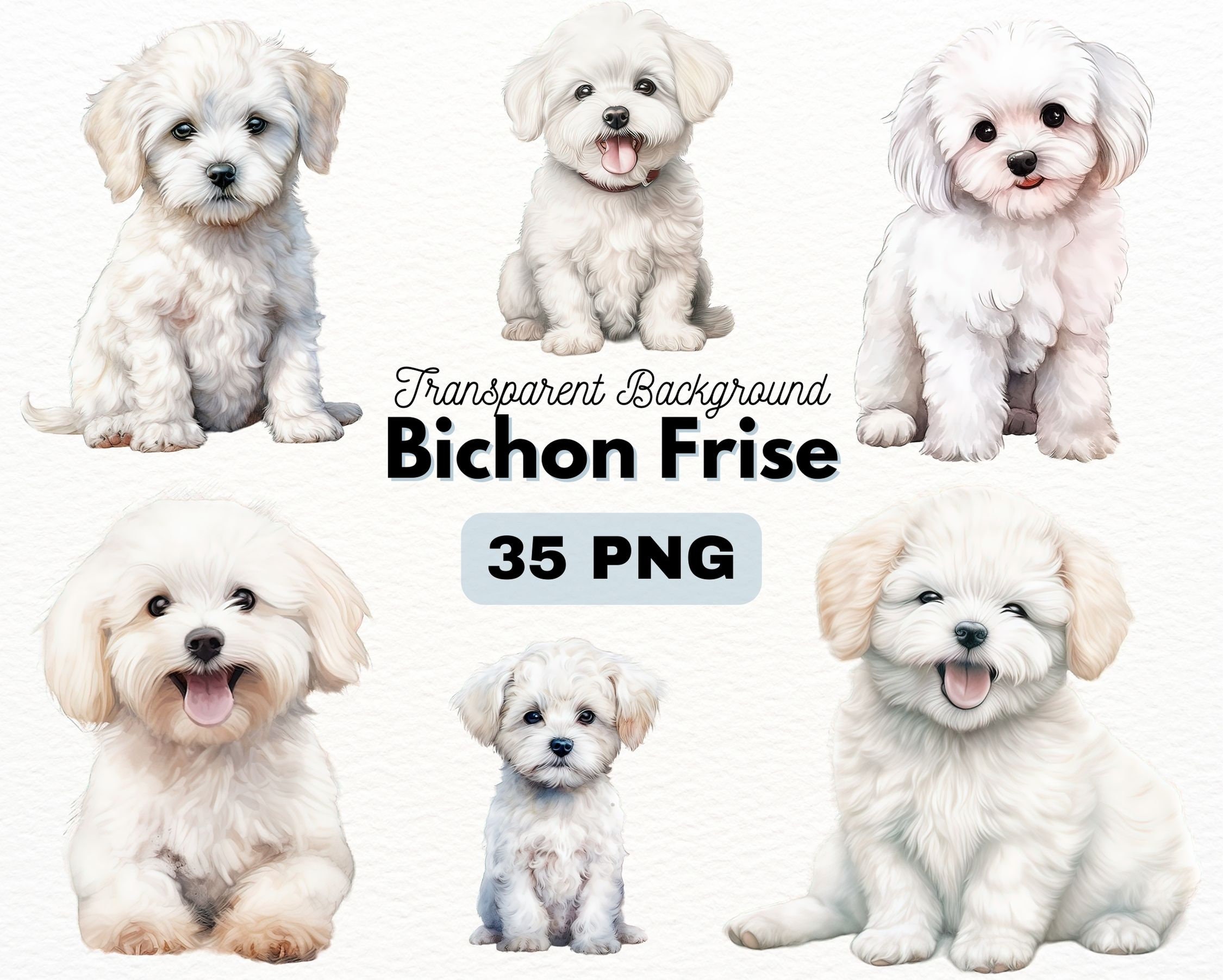 Bichon Frisé PNG Bundle Digital Crafts Designs Transparent - Etsy