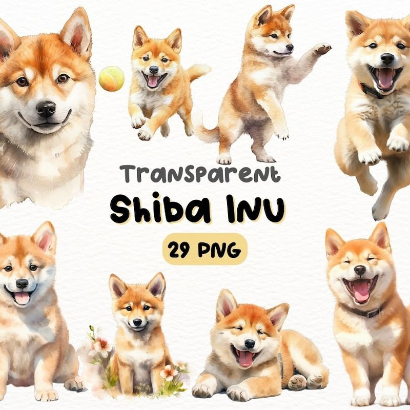 Shiba Inu - Etsy