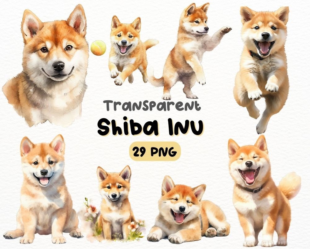 Watercolor Shiba Inu PNG Bundle Digital Crafts Designs - Etsy