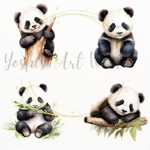 Watercolor Cute Panda PNG Bundle, Digital Crafts Designs Transparent ...