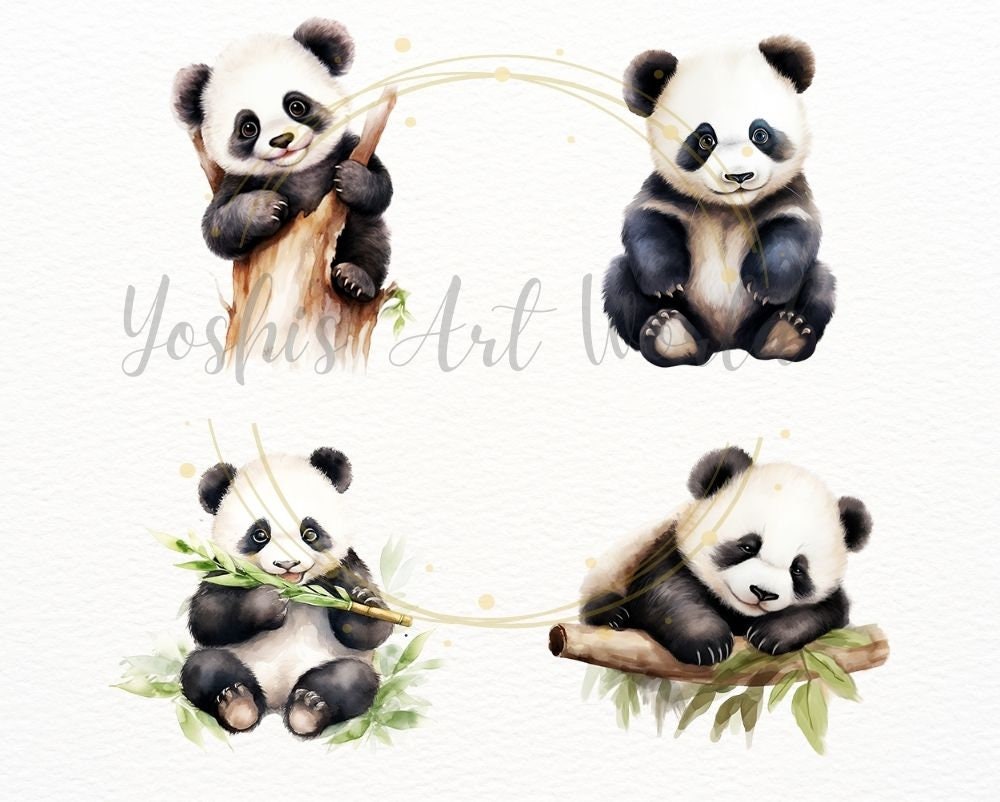Watercolor Cute Panda PNG Bundle Digital Crafts Designs - Etsy