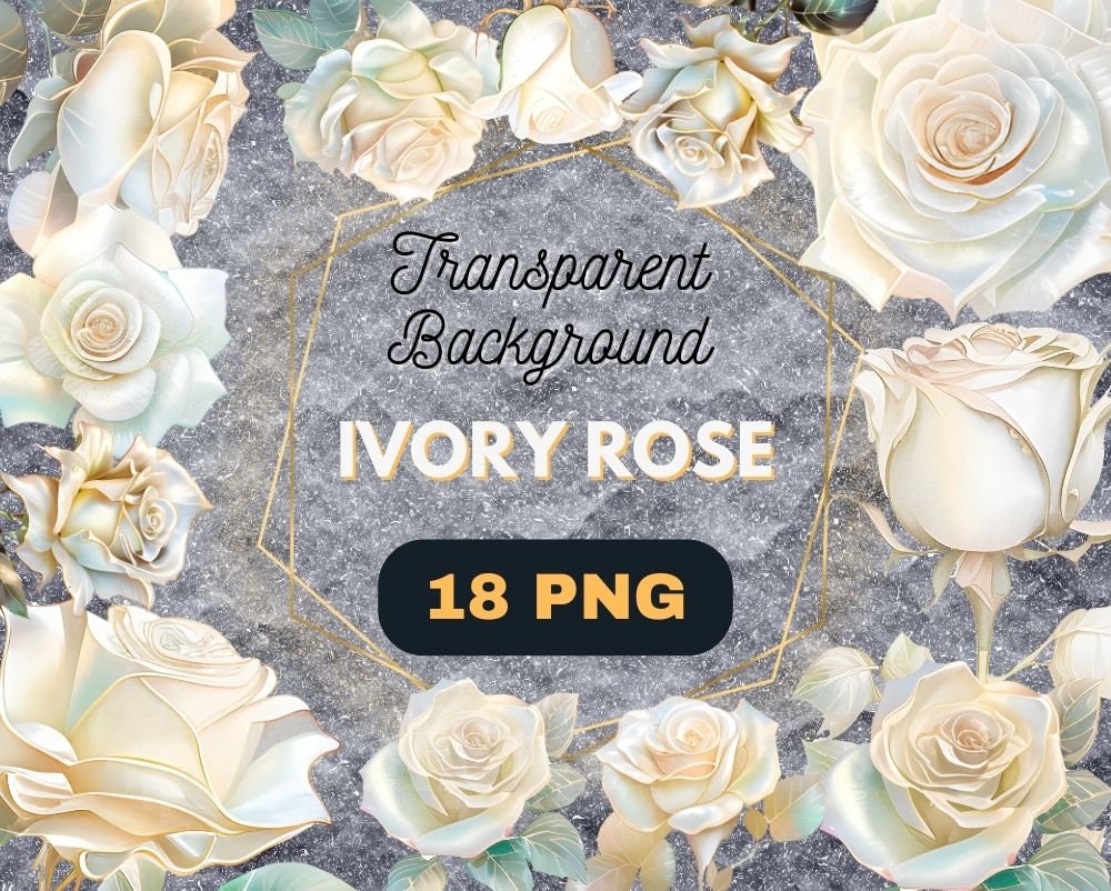 Watercolor Floral Ivory Roses PNG Bundle Digital Crafts - Etsy