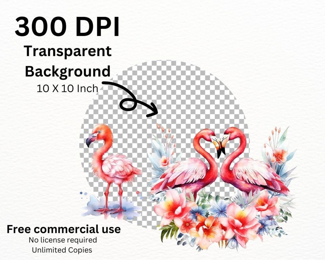 Watercolor Flamingo PNG Bundle, Digital Crafts Designs Transparent ...