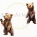 Watercolor Cute Baby Brown Bear PNG Bundle, Digital Crafts Designs ...