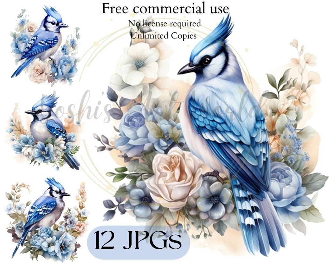 Blue Jay and Flower Clipart - Floral Bird - Card Making, Mixed Media ...