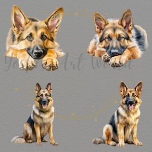 Watercolor German Shepherd PNG Bundle, Digital Crafts Designs ...