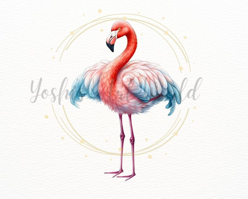Watercolor Flamingo PNG Bundle Digital Crafts Designs - Etsy