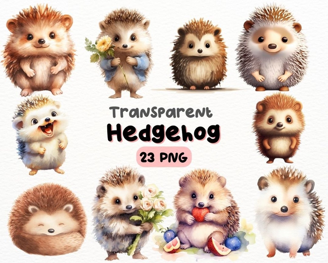 Watercolor Cute Hedgehog PNG Bundle, Digital Crafts Designs Transparent ...