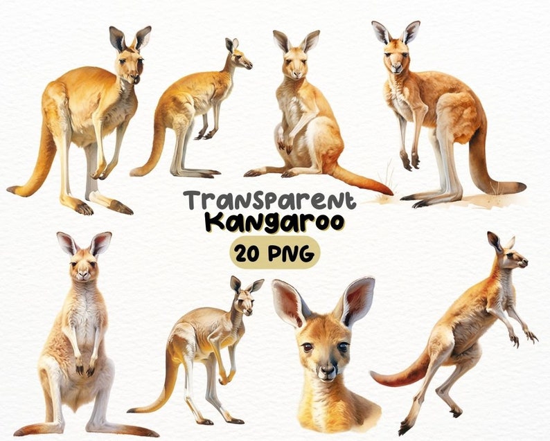Watercolor Kangaroo PNG Bundle Digital Crafts Designs - Etsy