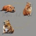 Watercolor Capybara PNG Bundle, Digital Crafts Designs Transparent ...