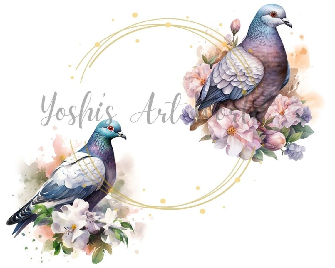 Pigeon and Flower Clipart - Floral Pigeon - Bird Clipart - Card Making ...