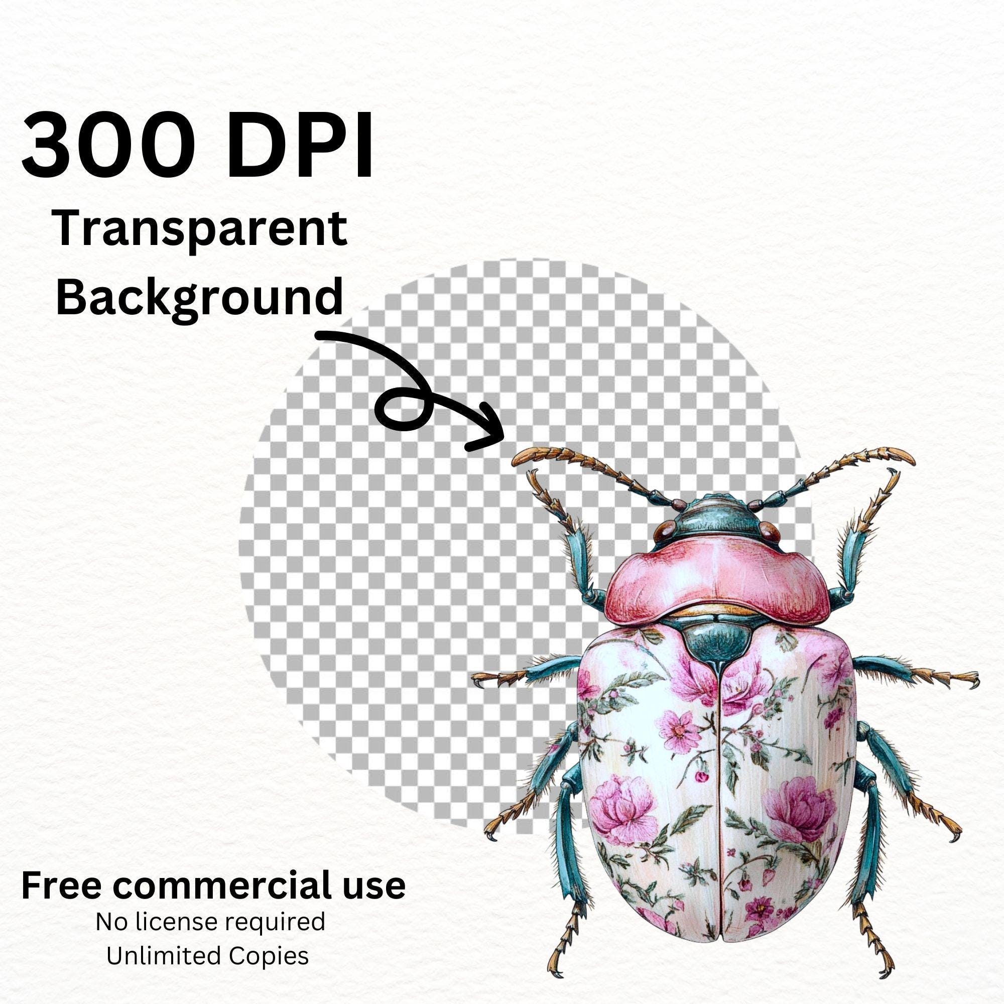 Watercolor Floral Beetle PNG Bundle, Digital Crafts Designs Transparent ...