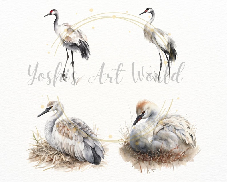 Watercolor Crane PNG Bundle Digital Crafts Designs - Etsy