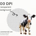 Watercolor Dairy Cow PNG Bundle, Digital Crafts Designs Transparent ...