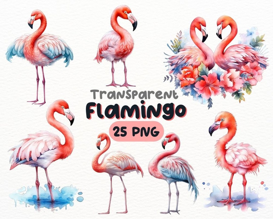 Watercolor Flamingo PNG Bundle, Digital Crafts Designs Transparent ...