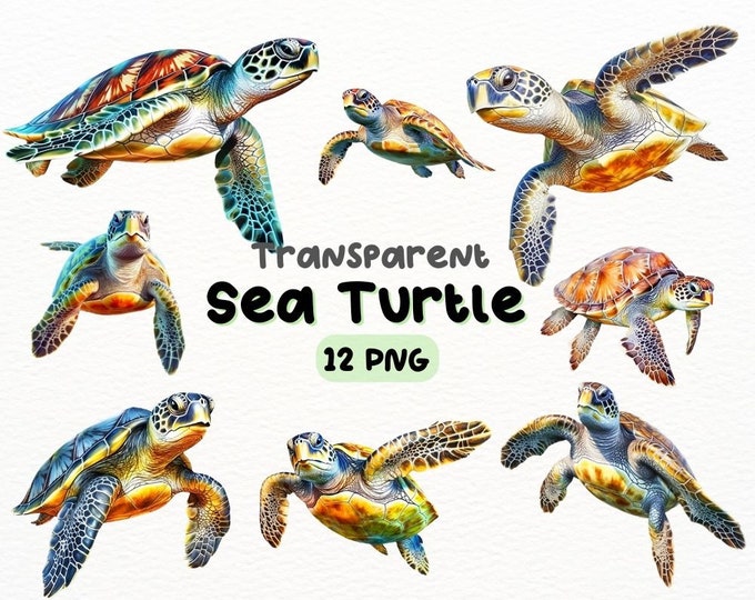 Sea Turtle PNG Bundle, Digital Crafts Designs Transparent, Sea Turtle ...