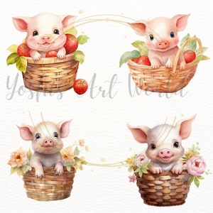 Watercolor Cute Piggy in Basket PNG Bundle, Digital Crafts Designs ...