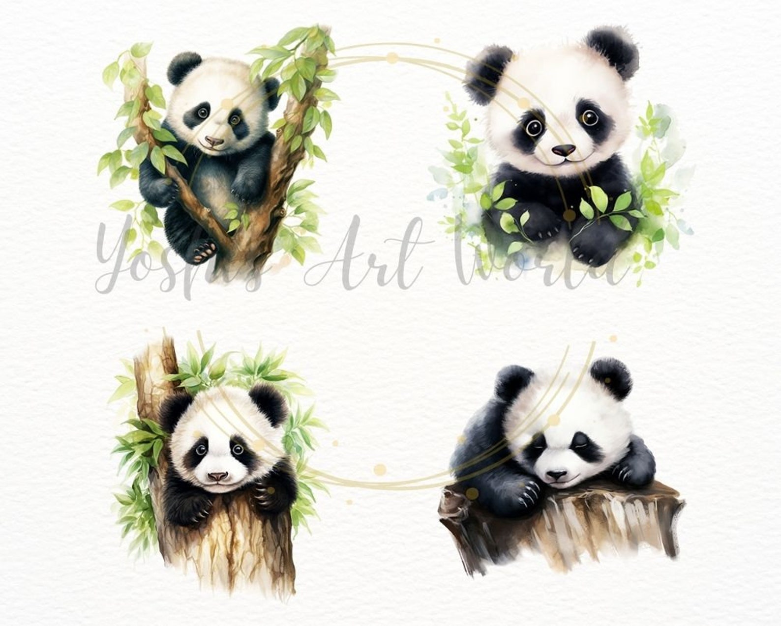 Watercolor Cute Panda PNG Bundle Digital Crafts Designs - Etsy