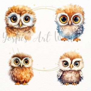 Watercolor Baby Owl PNG Bundle, Digital Crafts Designs Transparent ...