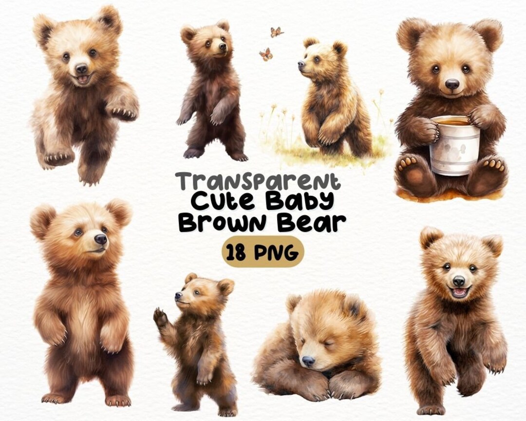 Watercolor Cute Baby Brown Bear PNG Bundle, Digital Crafts Designs ...