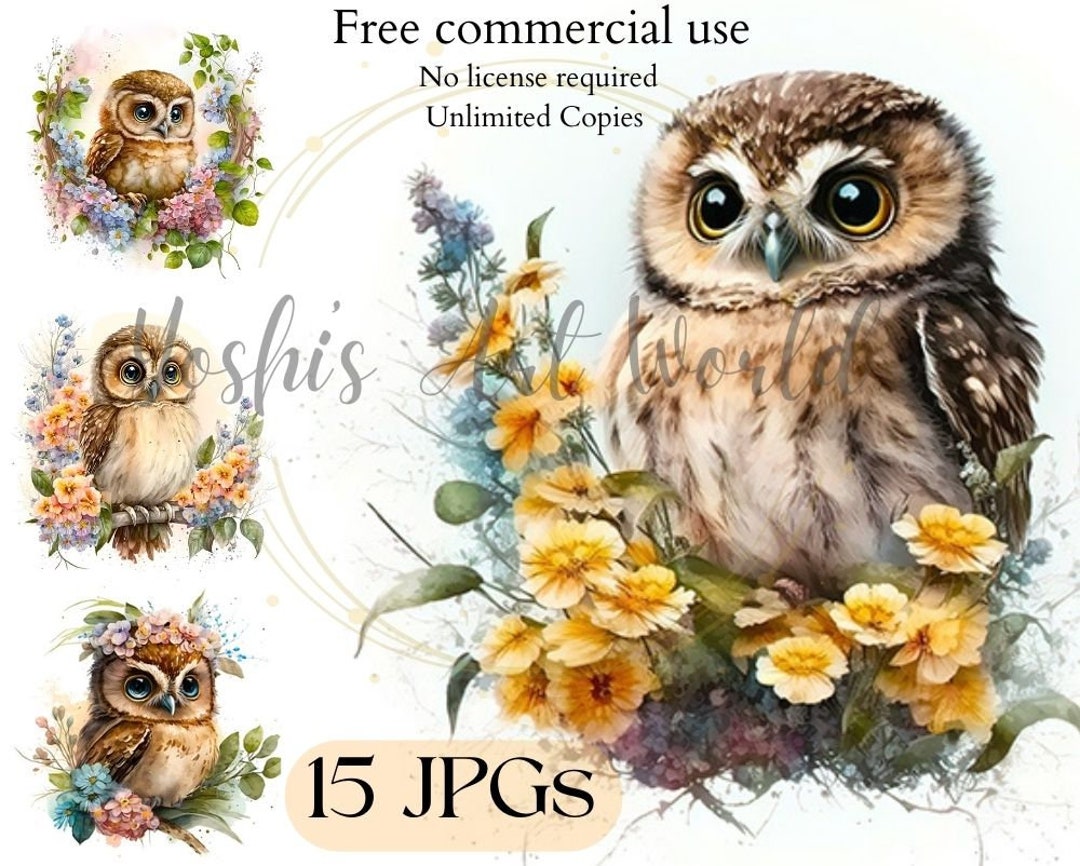 Cute Floral Baby Owl Clipart - 15 High Quality Jpgs - Crafts, Digital ...