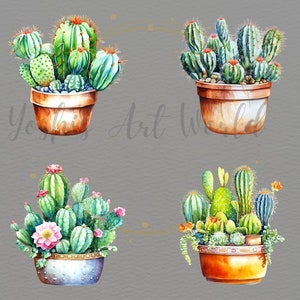 Watercolor Cactus PNG Bundle, Digital Crafts Designs Transparent ...