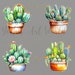 Watercolor Cactus PNG Bundle, Digital Crafts Designs Transparent ...