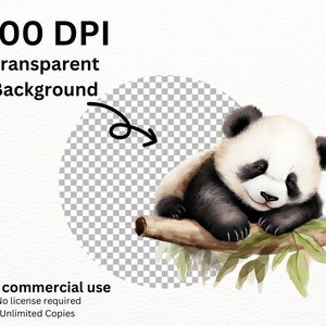 Watercolor Cute Panda PNG Bundle, Digital Crafts Designs Transparent ...