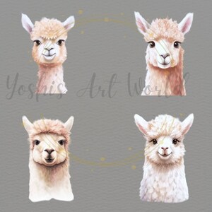 Watercolor Cute Alpaca PNG Bundle, Digital Crafts Designs Transparent ...