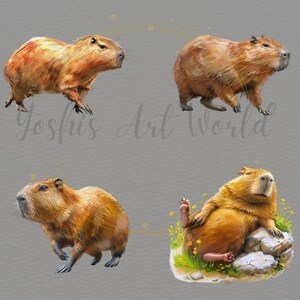 Watercolor Capybara PNG Bundle, Digital Crafts Designs Transparent ...