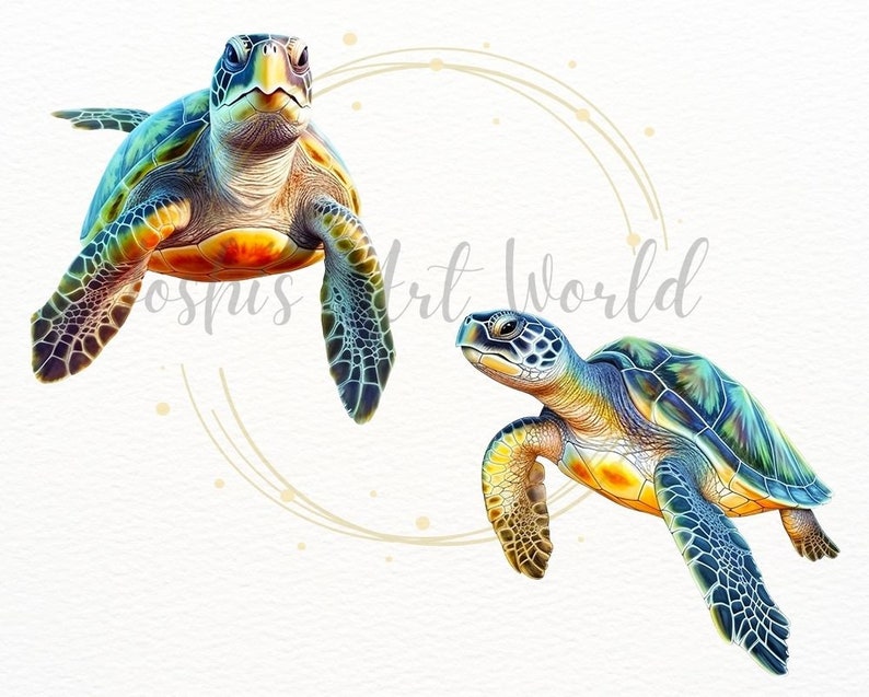 Sea Turtle PNG Bundle, Digital Crafts Designs Transparent, Sea Turtle ...