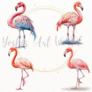 Watercolor Flamingo PNG Bundle, Digital Crafts Designs Transparent ...