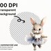 Watercolor Ballerina Bunny PNG Bundle, Digital Crafts Designs ...