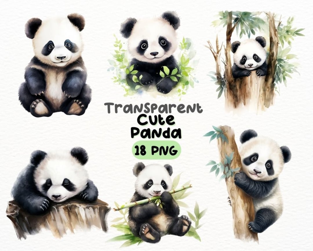 Watercolor Cute Panda PNG Bundle, Digital Crafts Designs Transparent ...