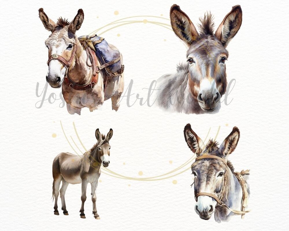 Watercolor Donkey PNG Bundle, Digital Crafts Designs Transparent ...
