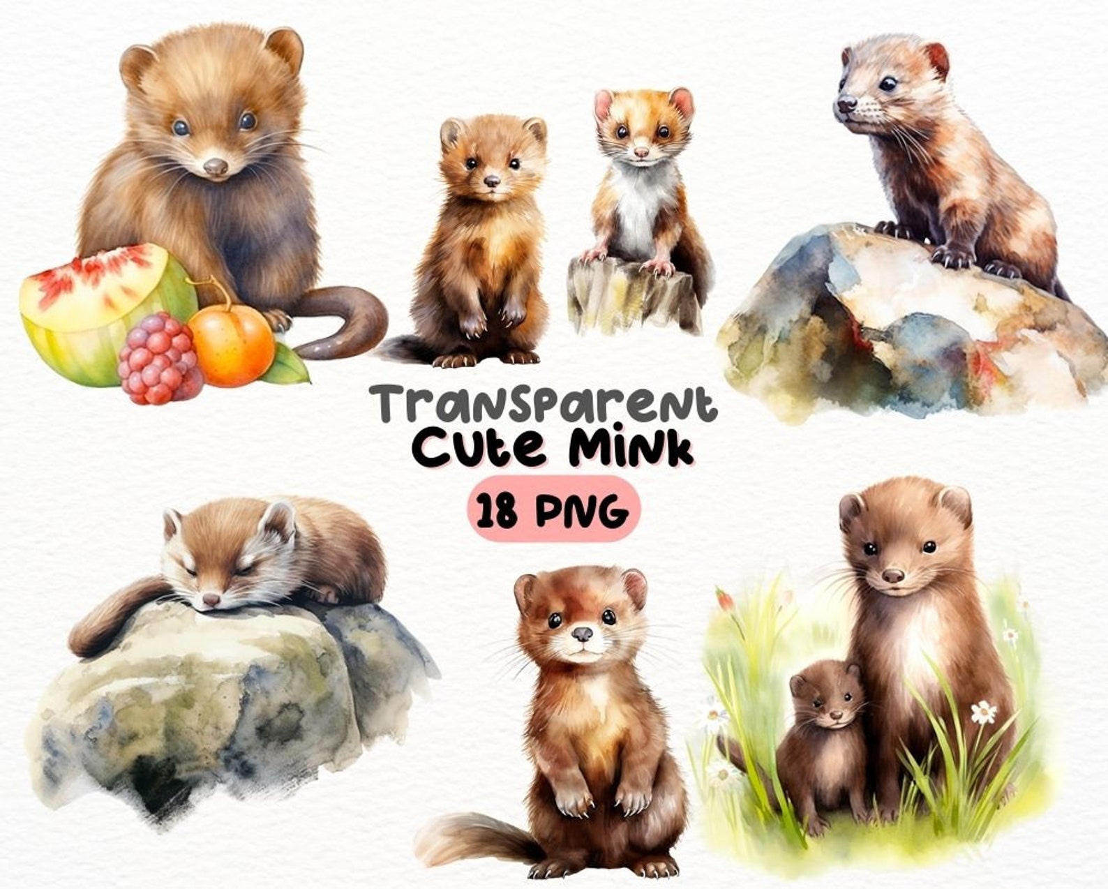 Watercolor Cute Mink PNG Bundle, Digital Crafts Designs Transparent ...