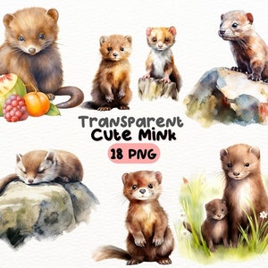 Watercolor Cute Mink PNG Bundle, Digital Crafts Designs Transparent ...