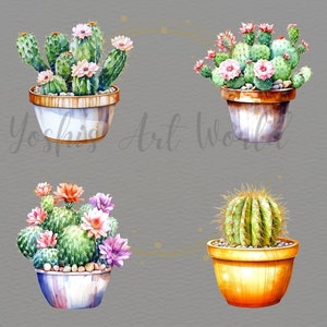 Watercolor Cactus PNG Bundle, Digital Crafts Designs Transparent ...